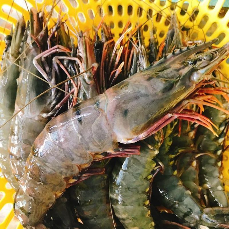 Tôm Sú Biển | Hàng Loại 1, Tươi Ngon, Giao Hàng Nhanh Trong Hà Nội ...