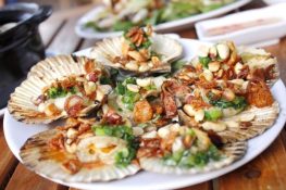 Sò Điệp | Những Thông Tin Thú Vị Có Thể Bạn Chưa Biết - haisan.online